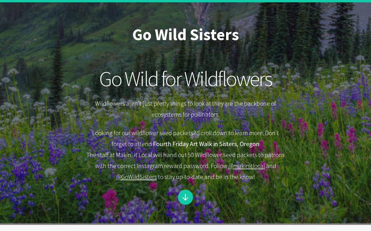 Go Wild Sisters 2559
